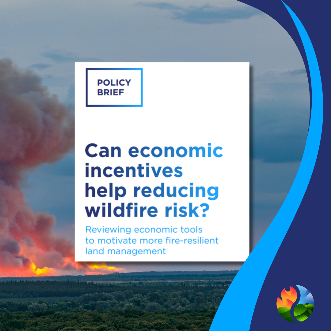 FIRE-RES Policy Brief: Are ‘carrots and sticks’ efficient in reducing ...