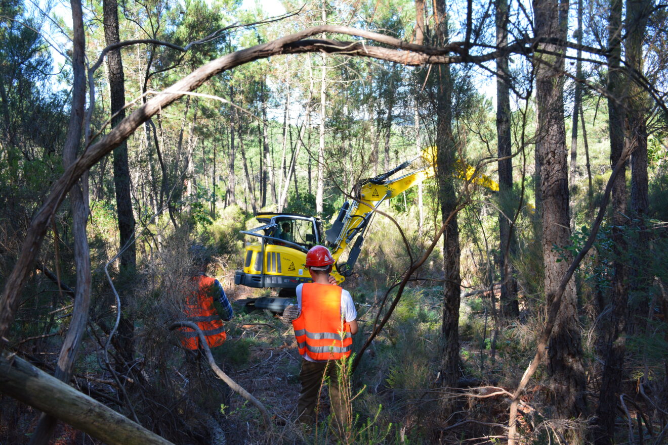 FIRE-RES - Innovative solutions for fire resilient territories in ...